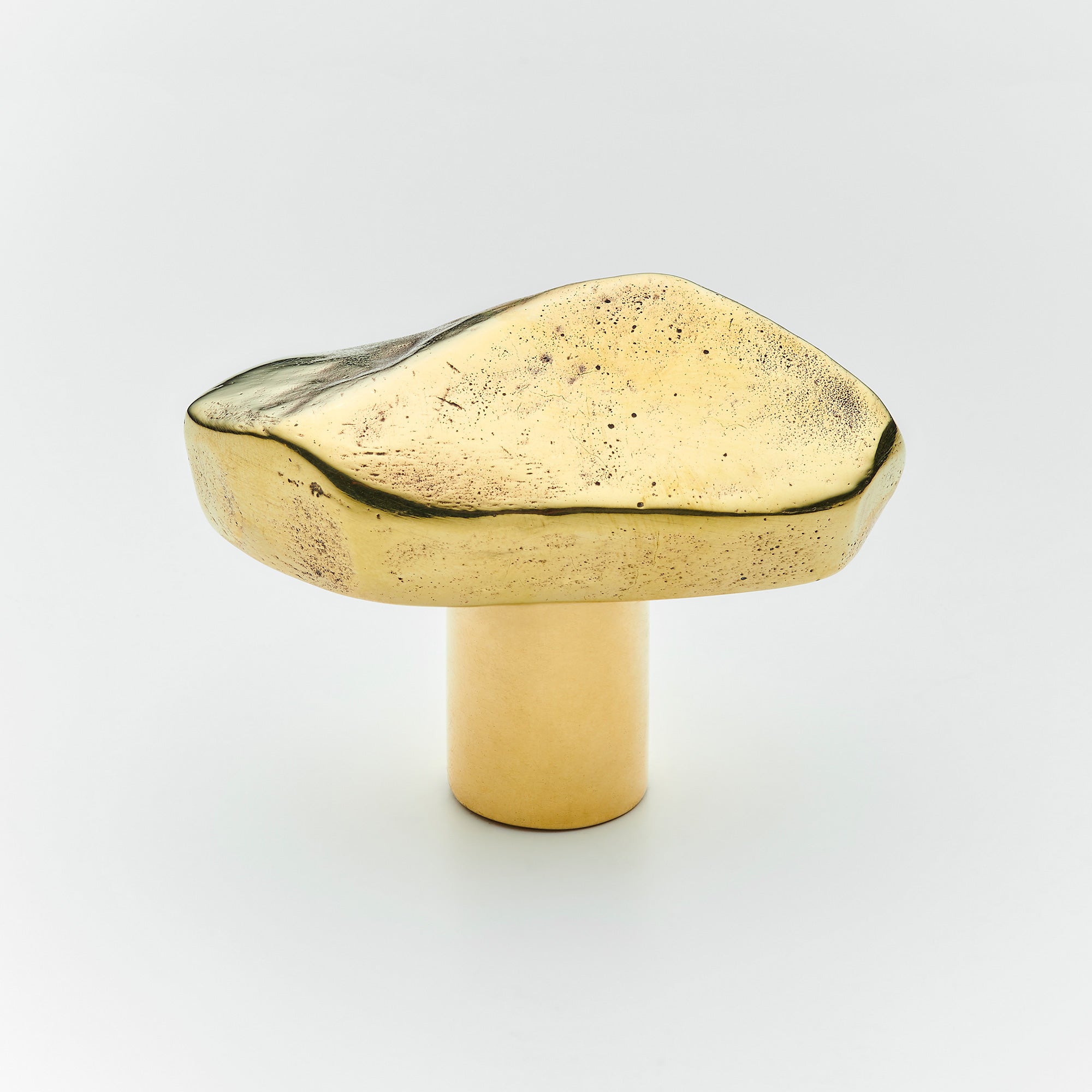 Darwin Large Cabinet Knob – Henry Blake